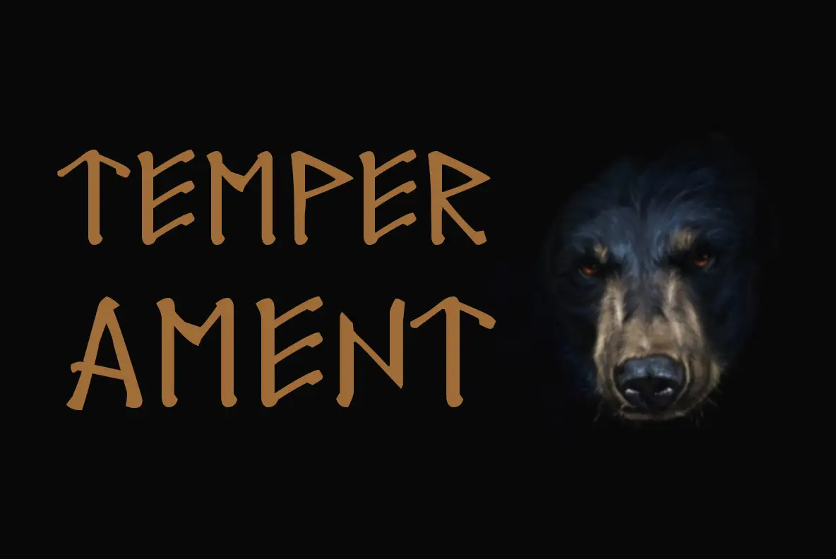 Rusich Font - FontPath