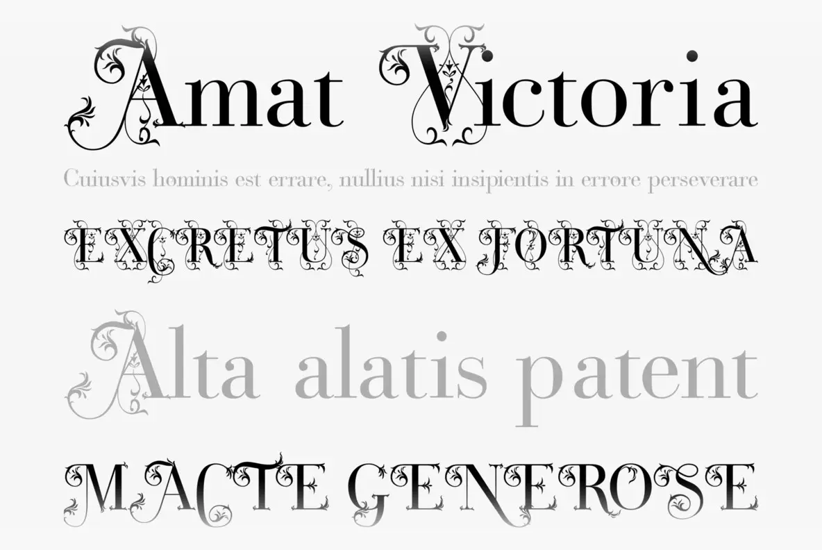 Vivian Font - YouWorkForThem