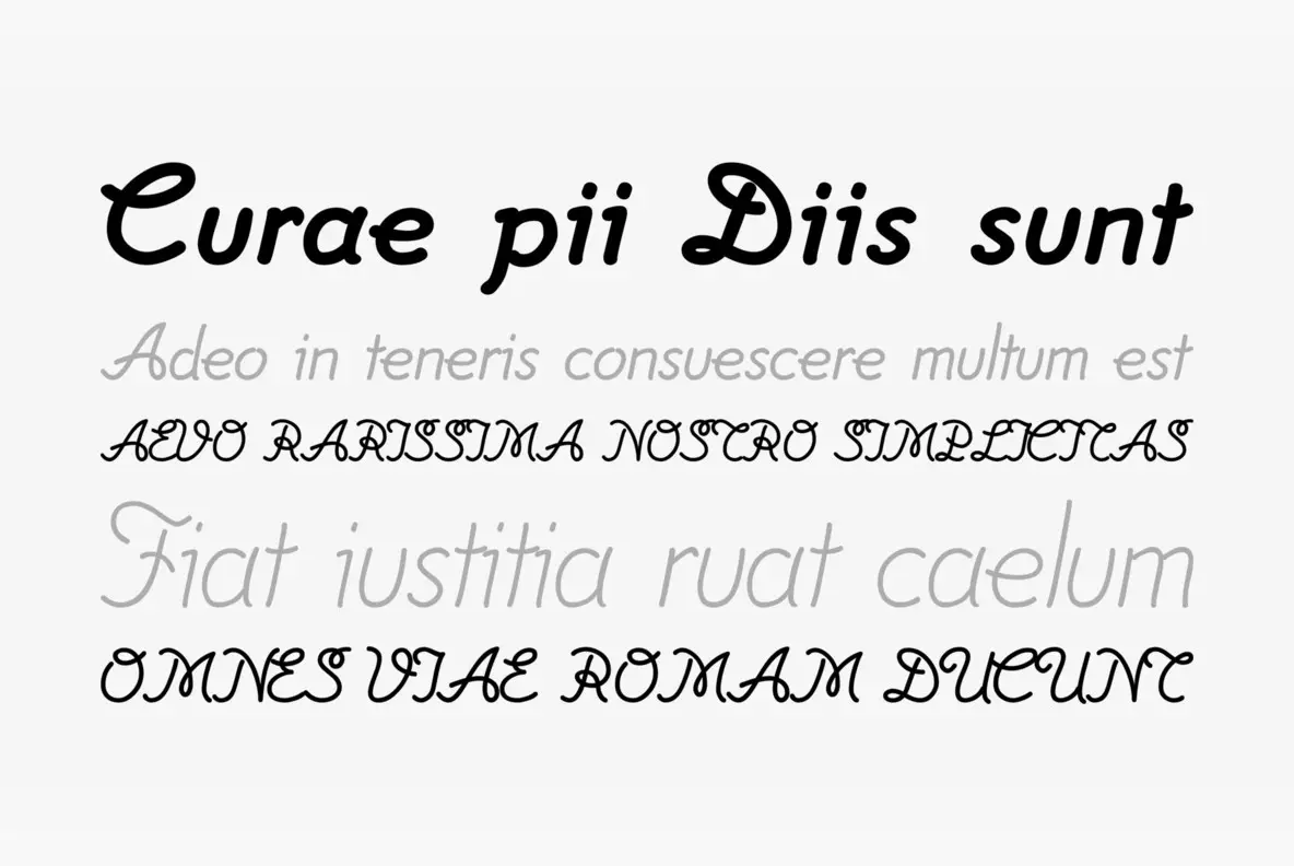 Tamara Font - YouWorkForThem