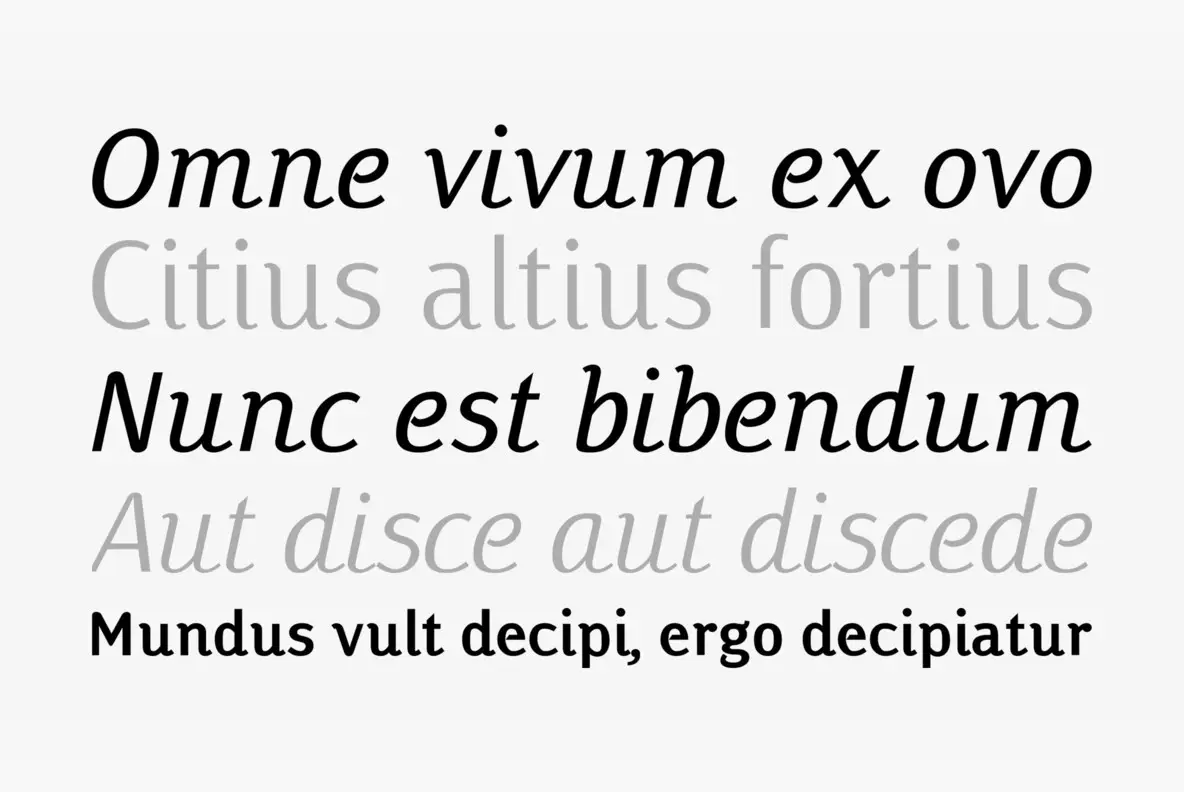 Papas Font - YouWorkForThem