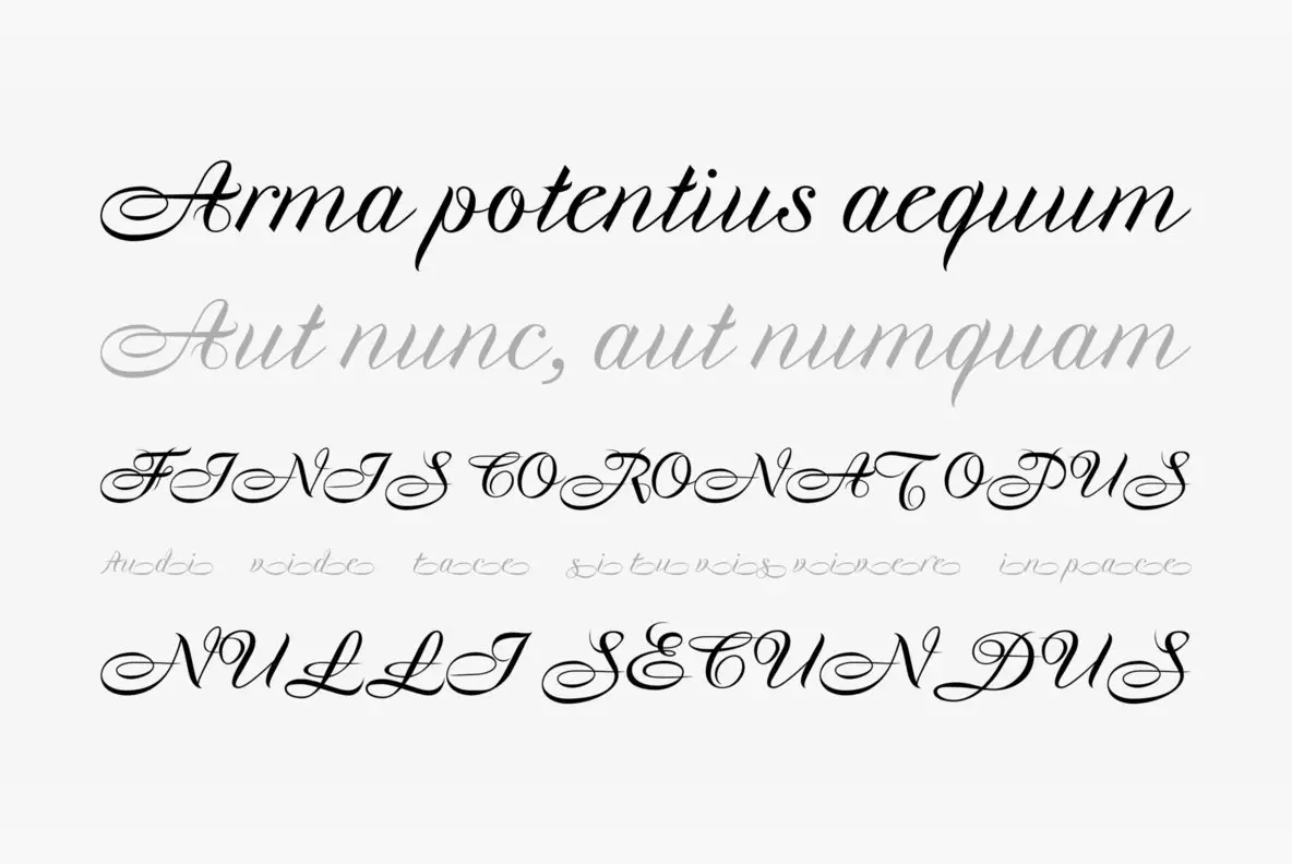 Artegio Font - YouWorkForThem