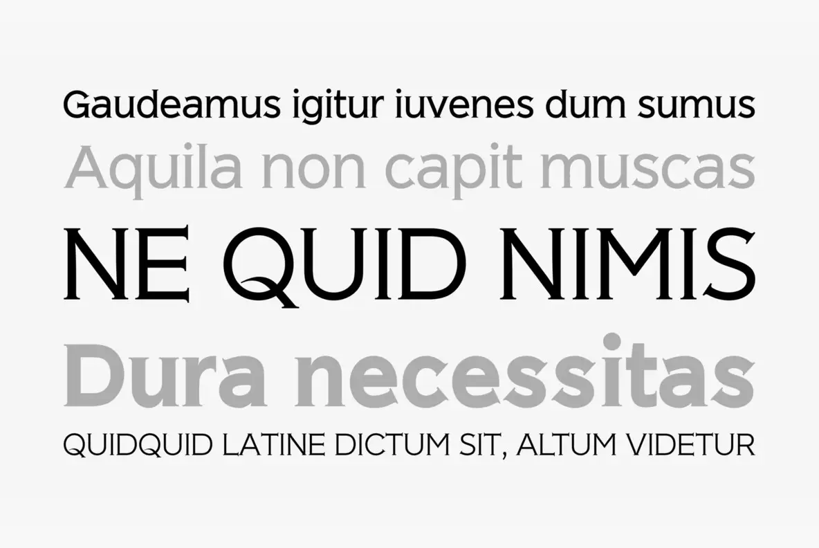 Dylan Copperplate Font - FontPath