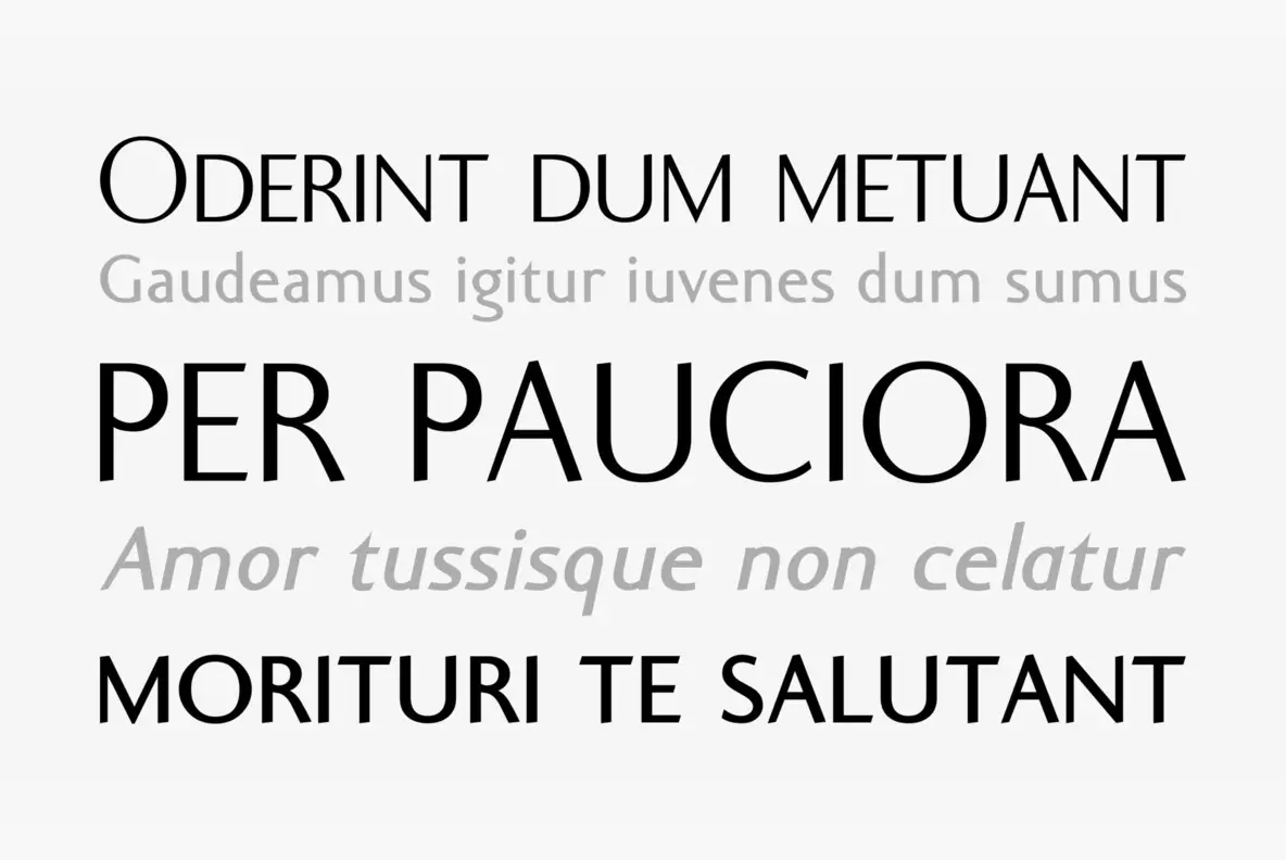 Ela Sans Font - YouWorkForThem
