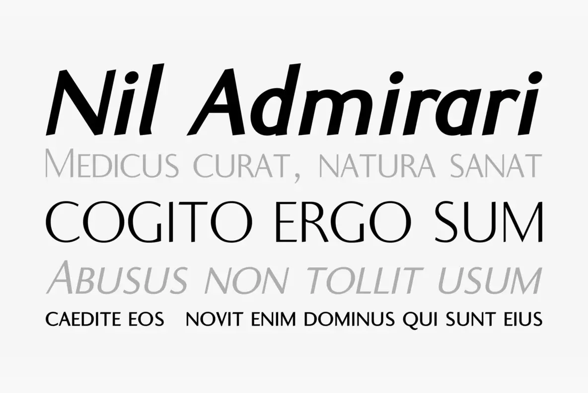 Ela Sans Font - FontPath