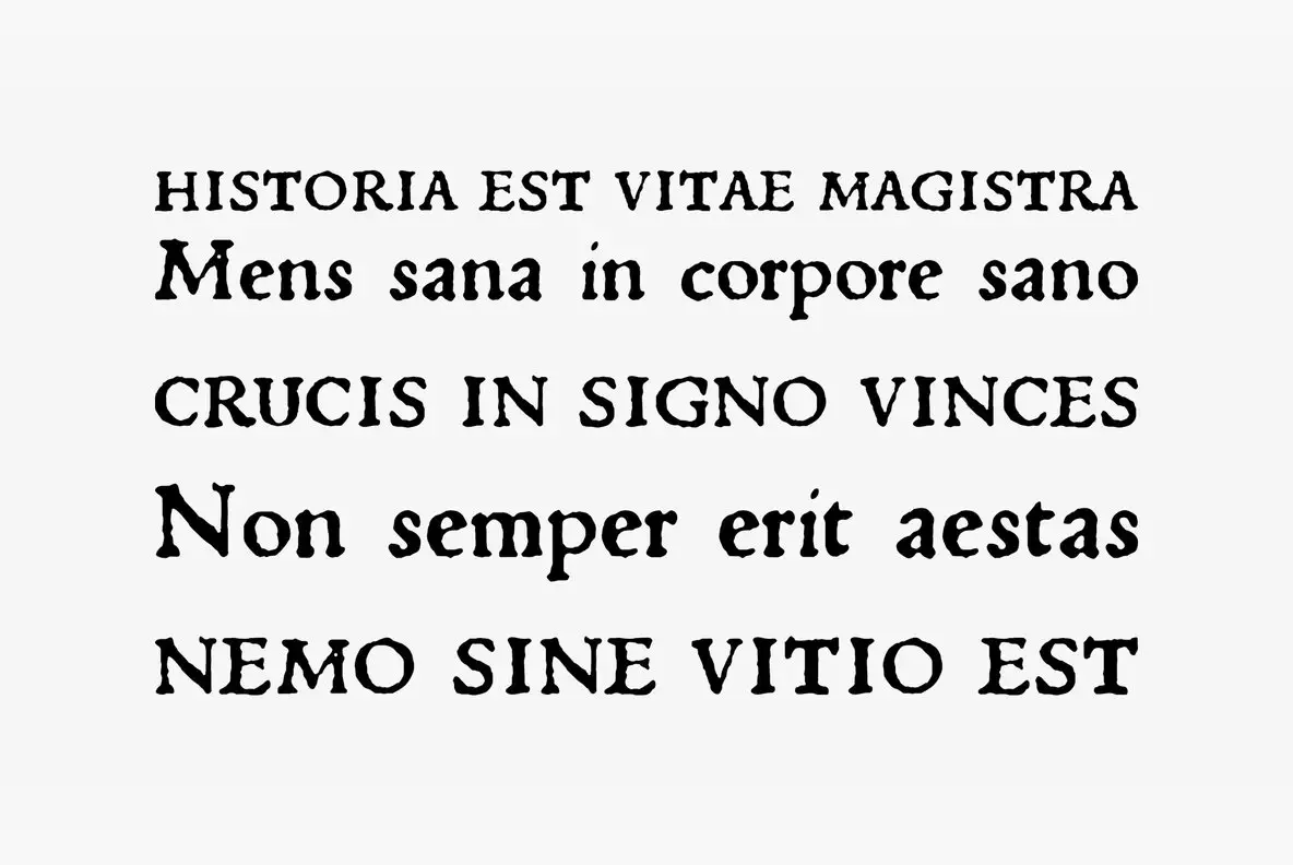 1529 Champ Fleury Pro Font - FontPath