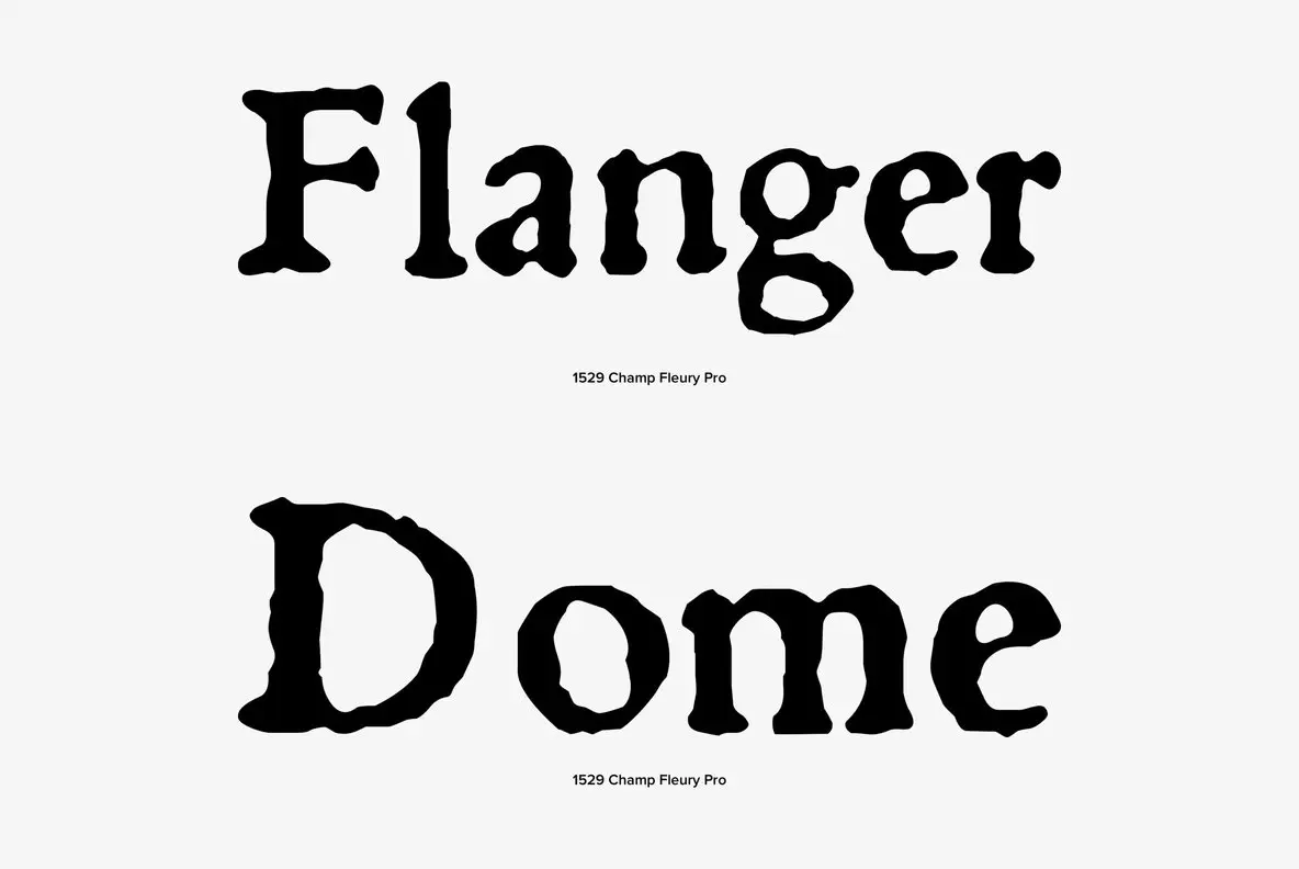1529 Champ Fleury Pro Font - FontPath