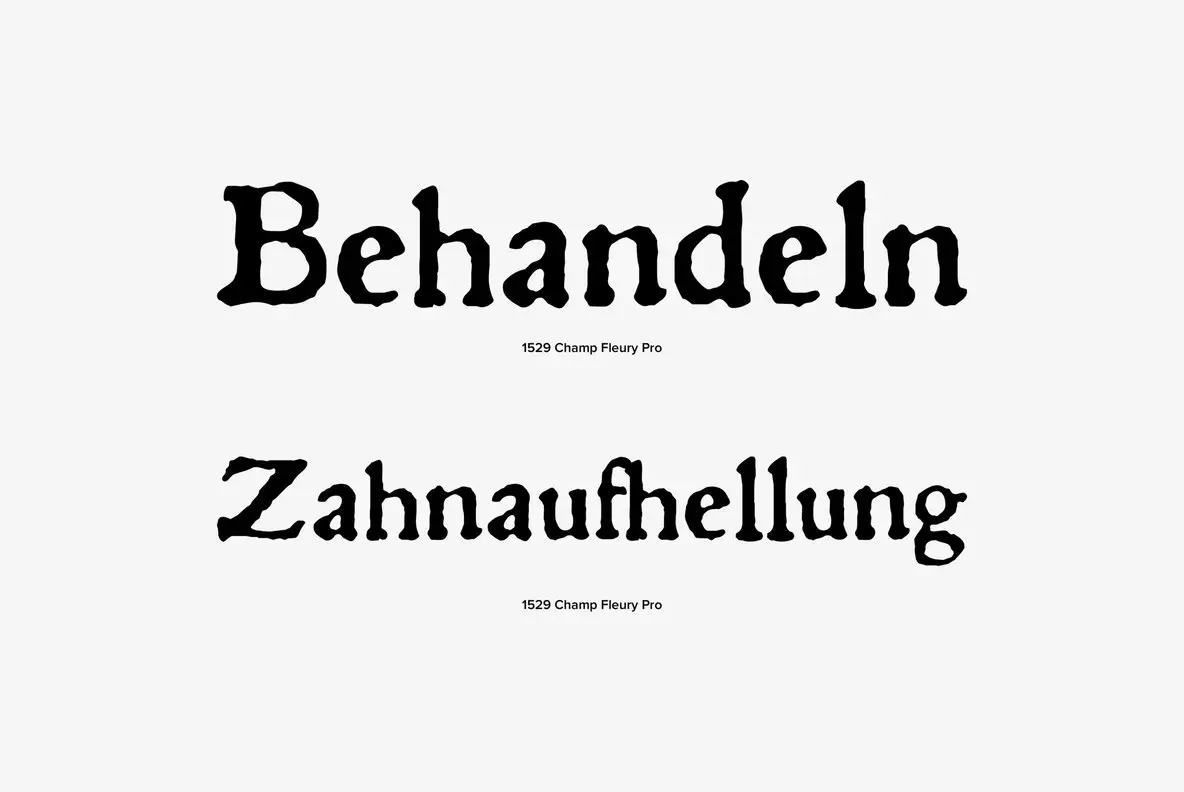 1529 Champ Fleury Pro Font - FontPath