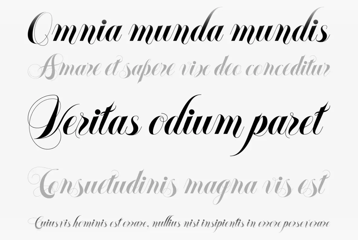 Felicita Font - FontPath