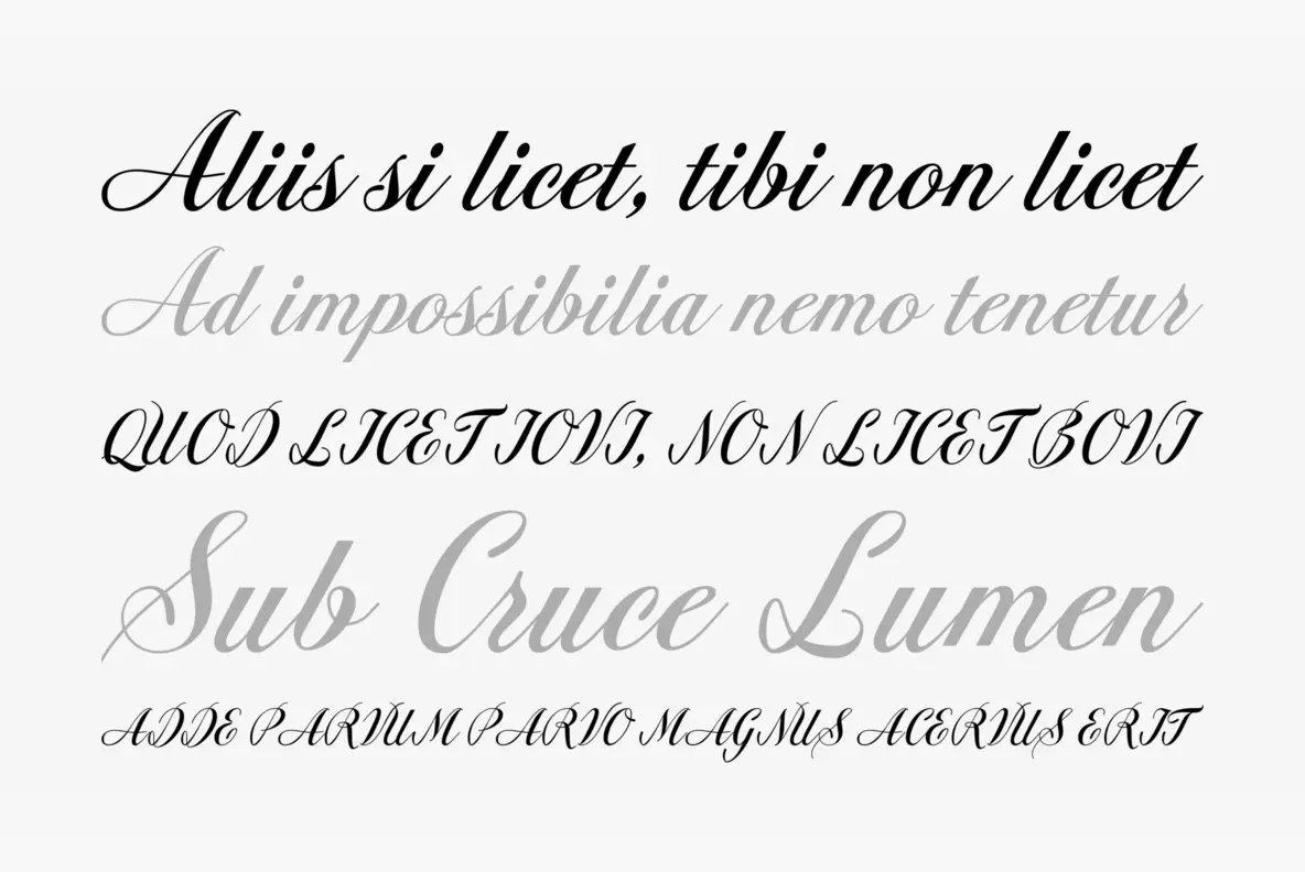 Excelsia Pro Font - FontPath