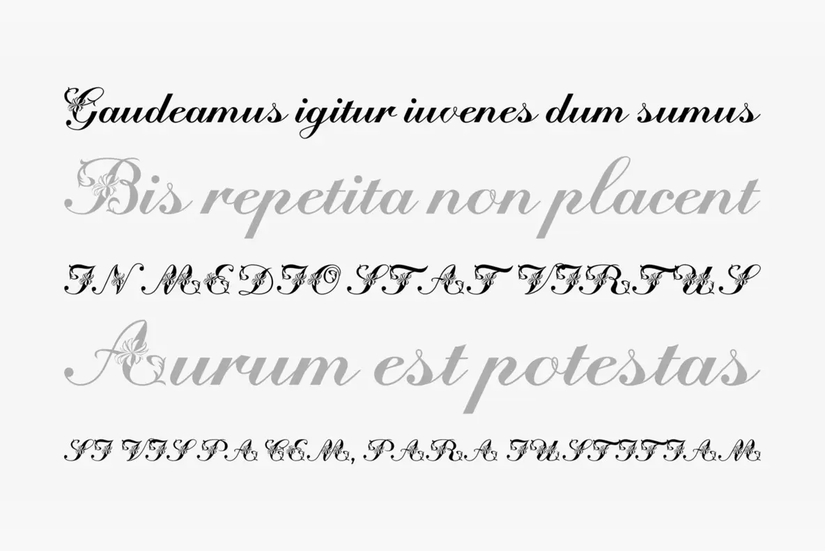 Floral Script Font - YouWorkForThem