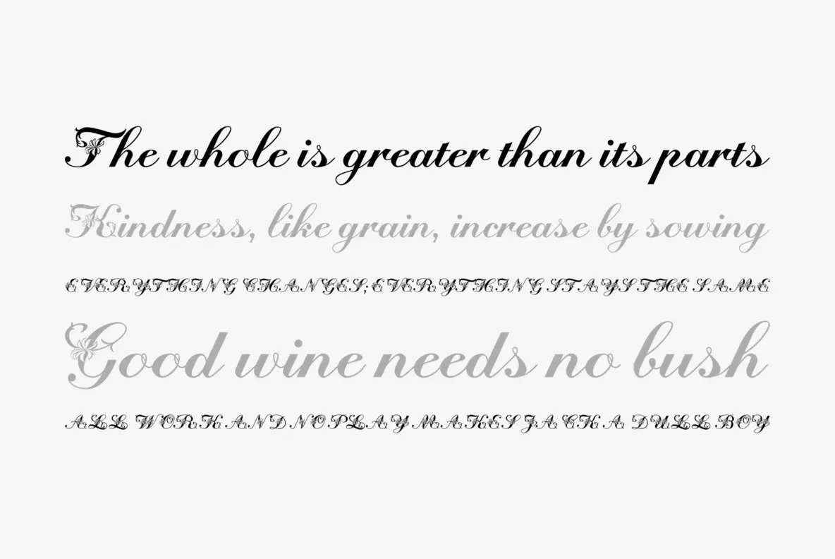 Floral Script Font - FontPath