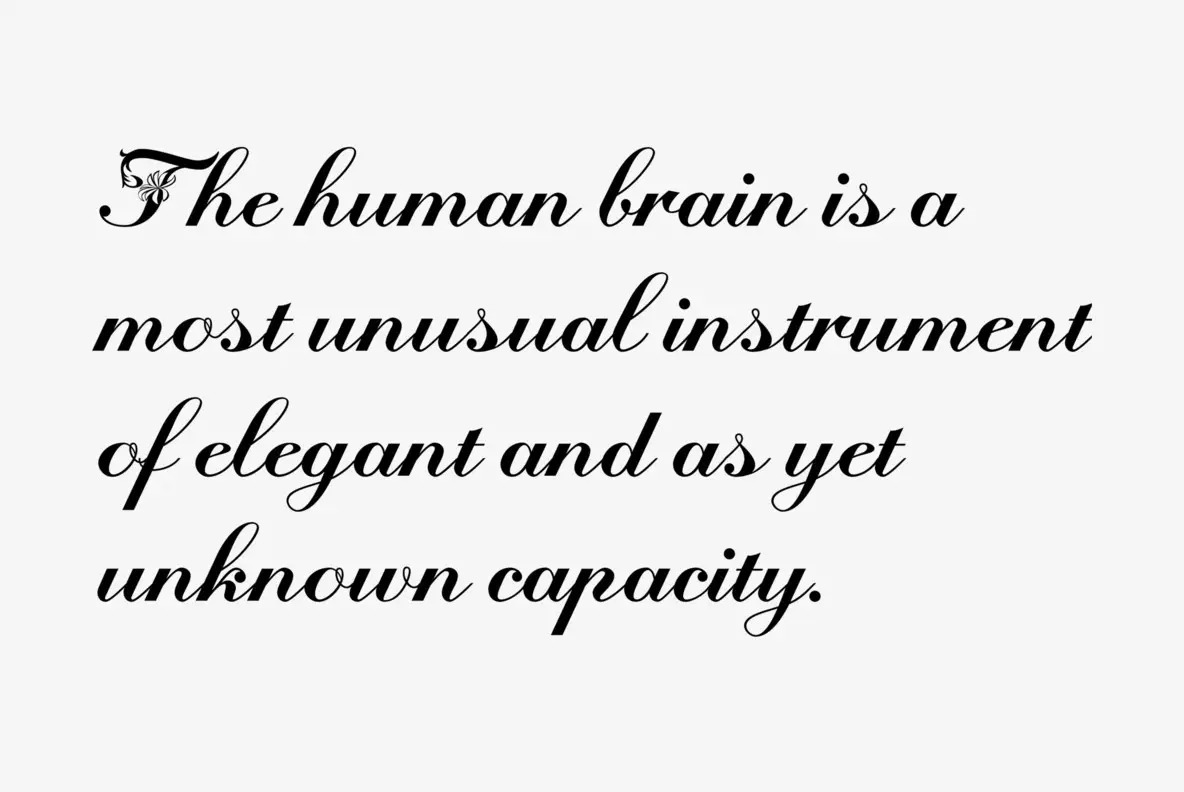 Floral Script Font - FontPath