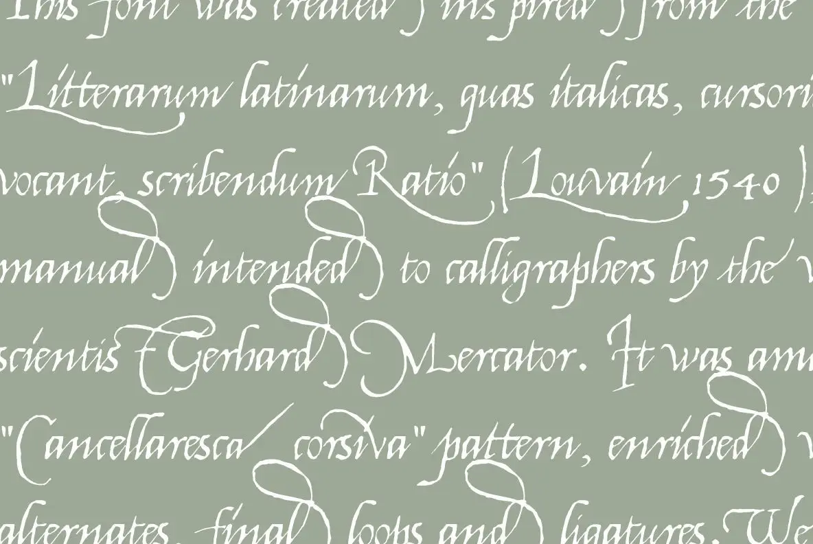 1540 Mercator Script Font - YouWorkForThem