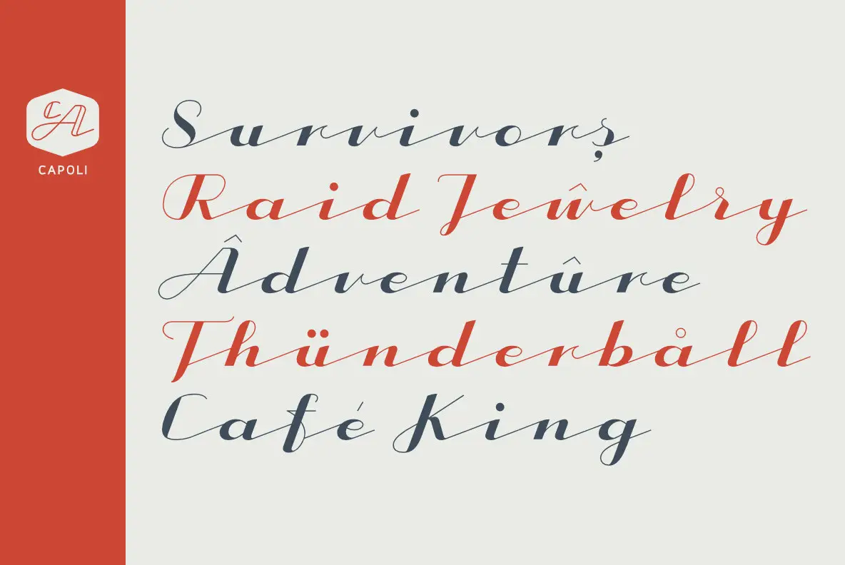 CA Capoli Font - YouWorkForThem