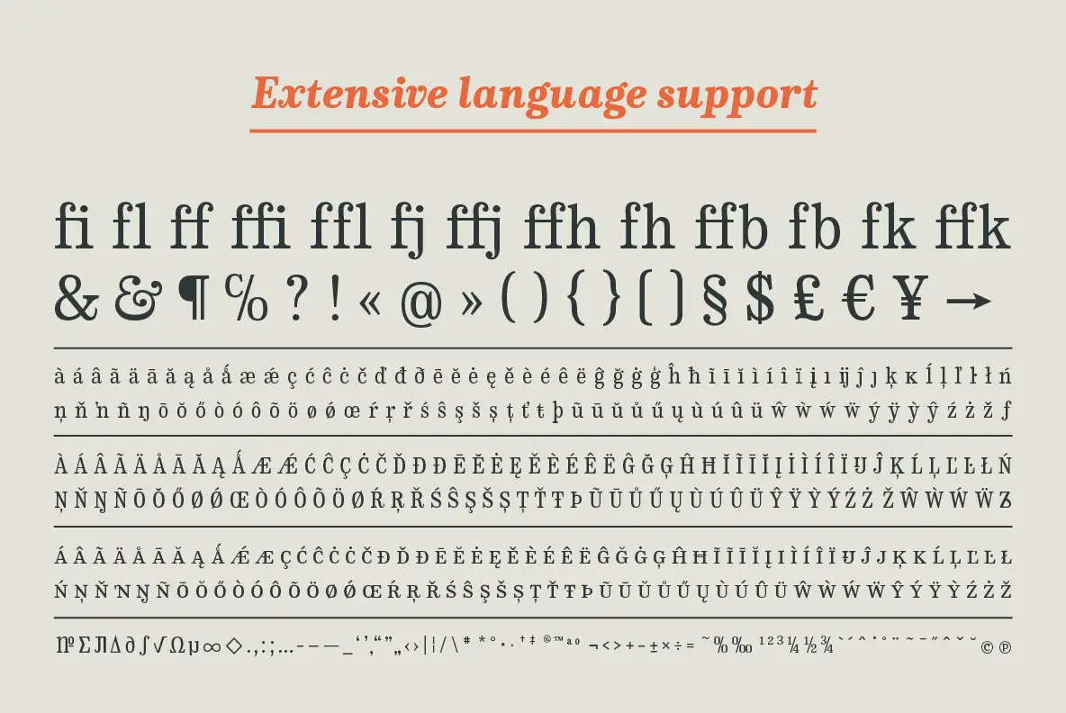 CA Normal Serif Font - YouWorkForThem