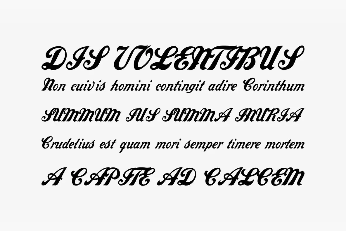 Grocers Script Font - YouWorkForThem