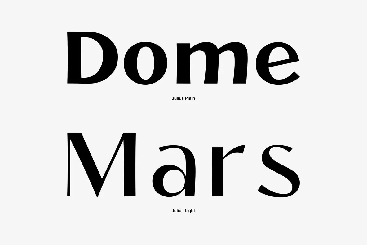 Julius Font - YouWorkForThem