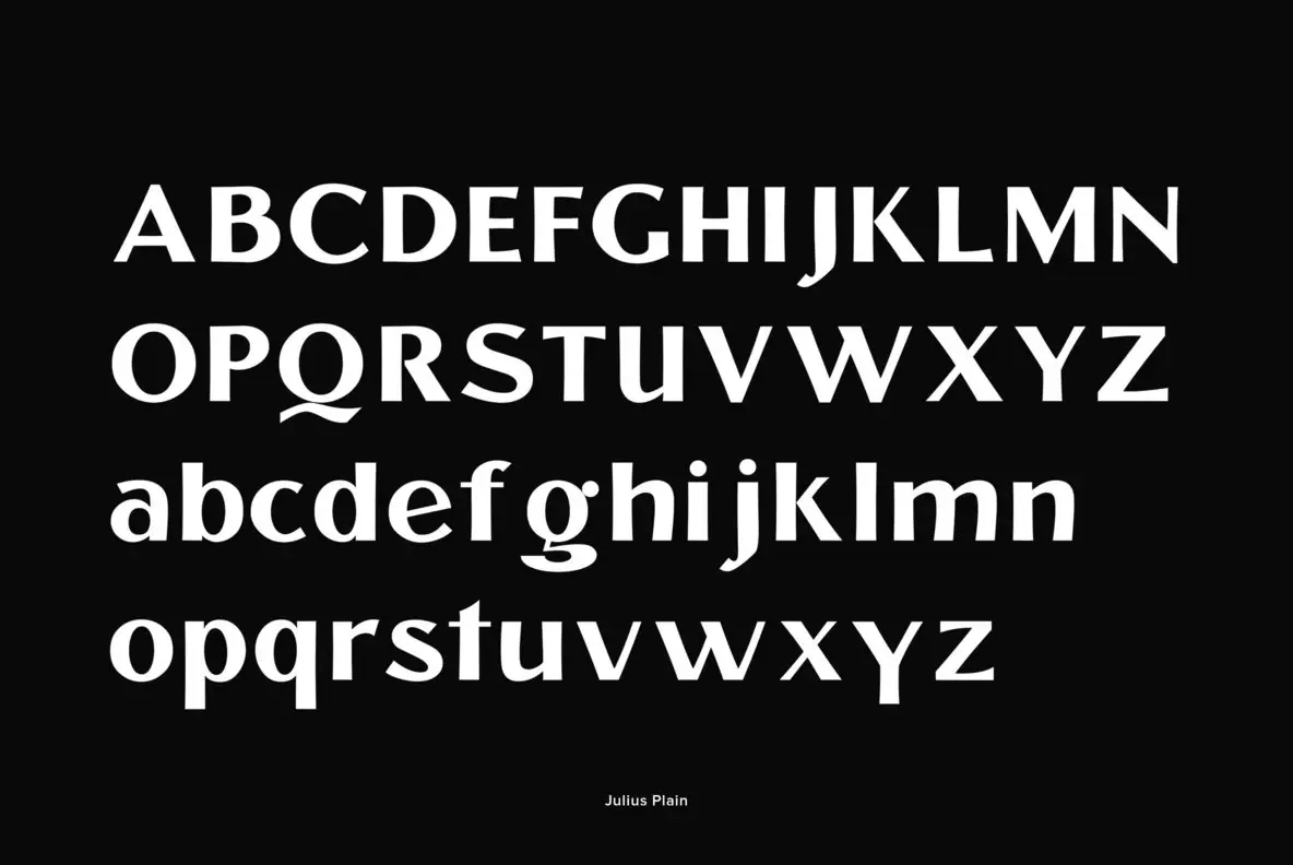 Julius Font - YouWorkForThem