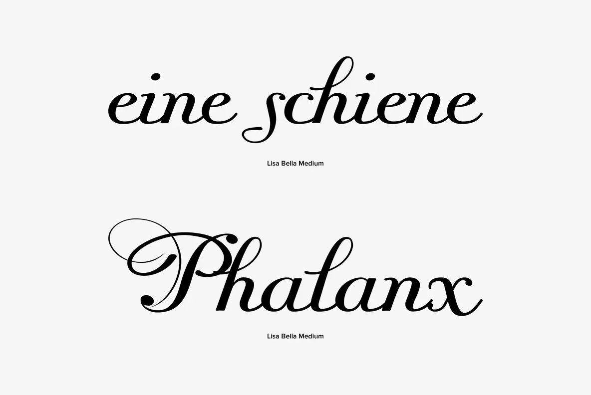 Lisa Font - YouWorkForThem