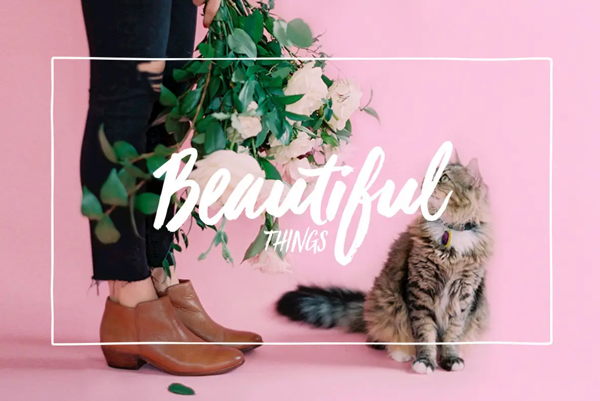 Viva Beautiful Font - YouWorkForThem