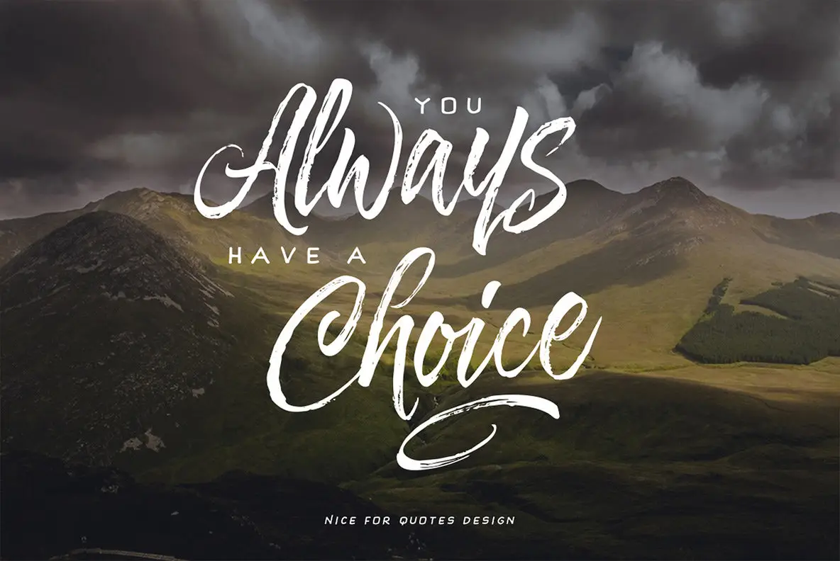 Hayne Script Font - YouWorkForThem