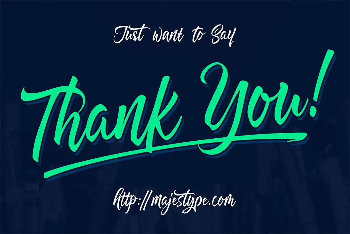 Hayne Script Font - YouWorkForThem