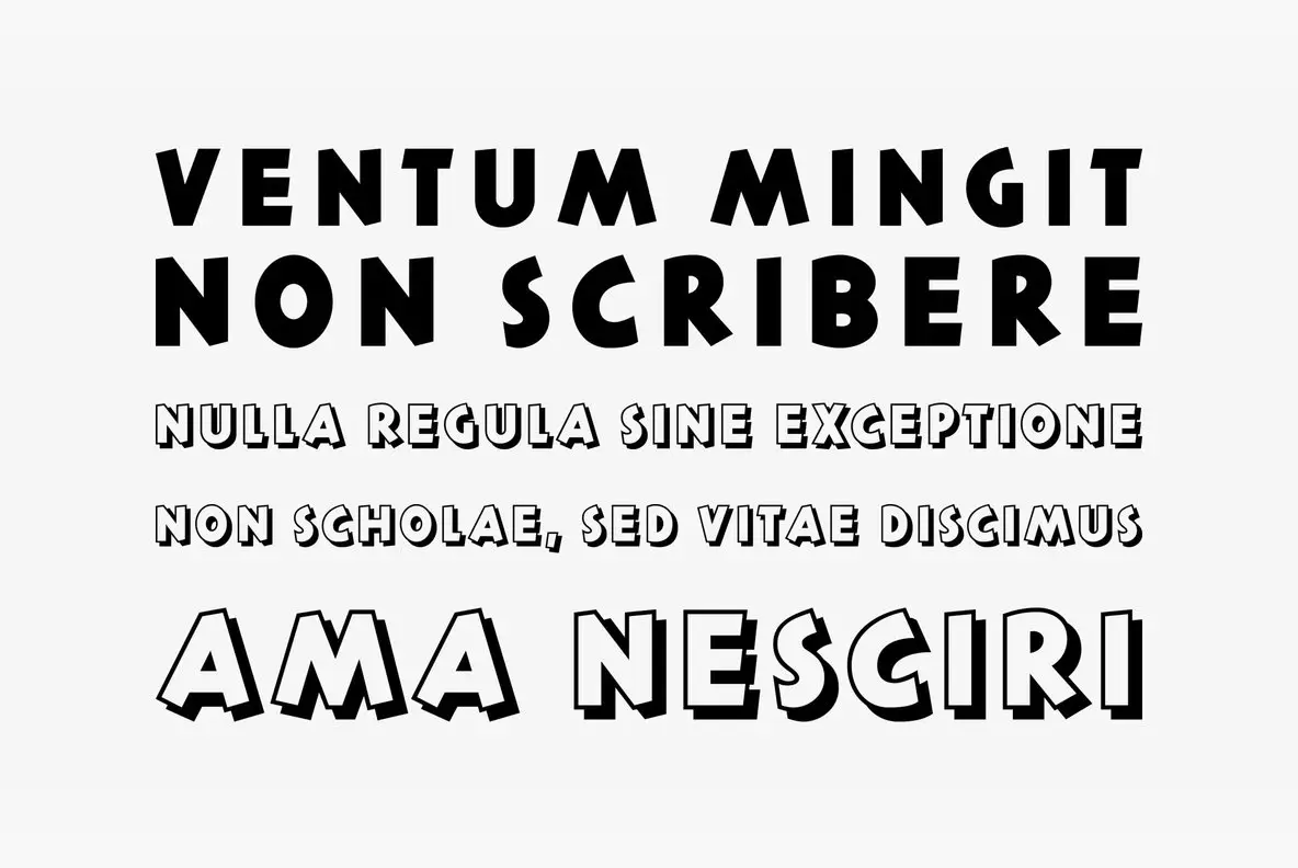 Neue Echo Font - FontPath