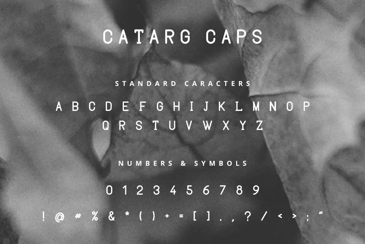Catarg Font - YouWorkForThem