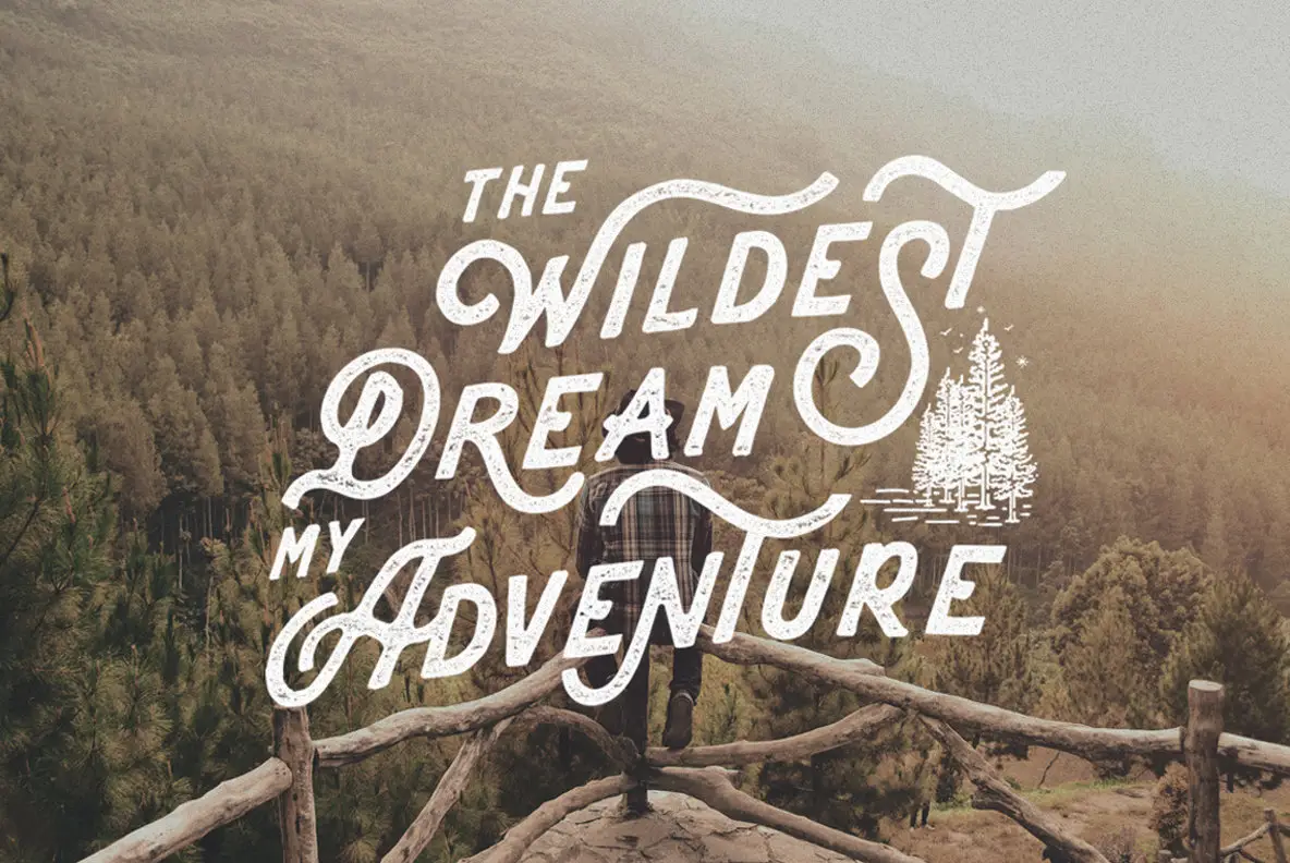 Voltunes Wild Font - YouWorkForThem