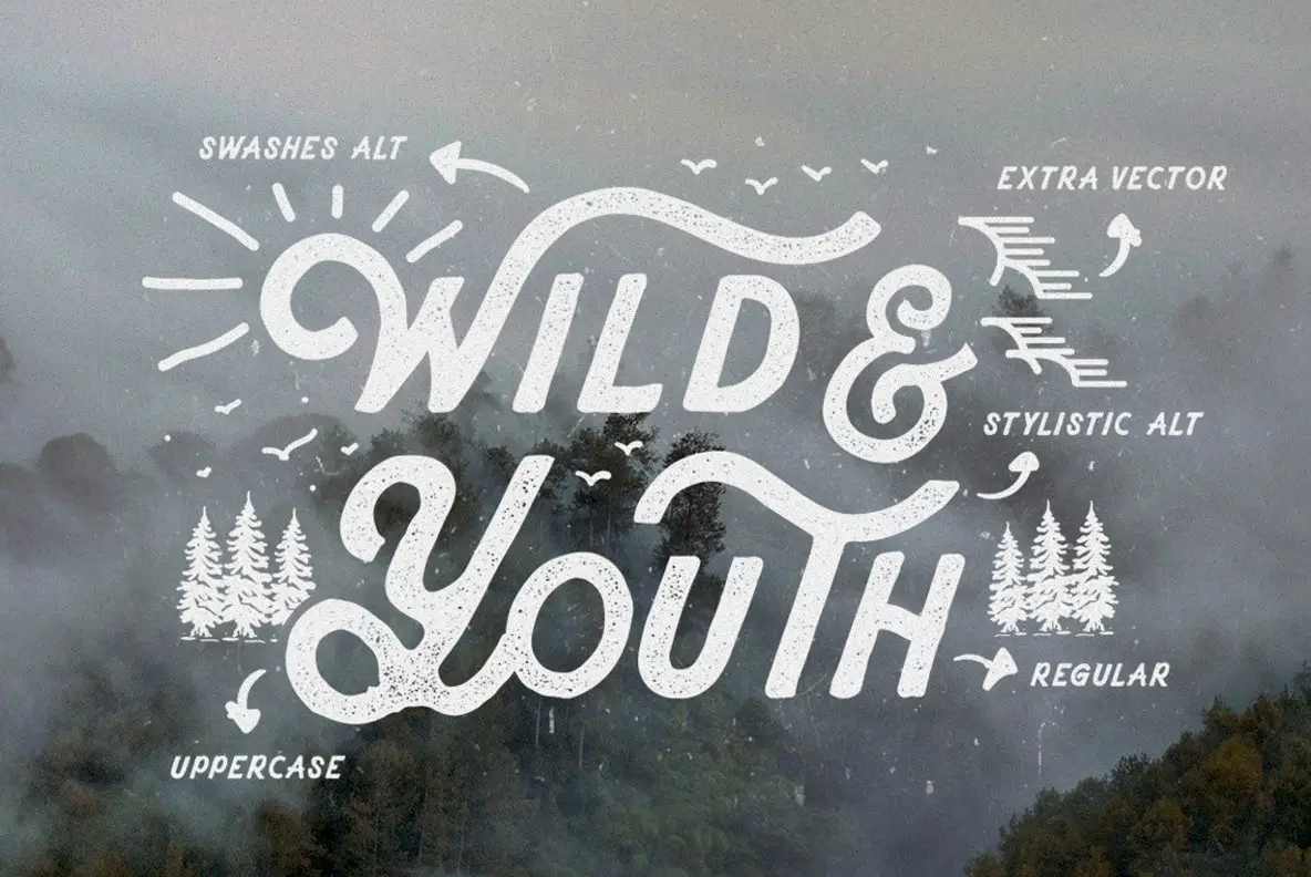 Voltunes Wild Font - FontPath