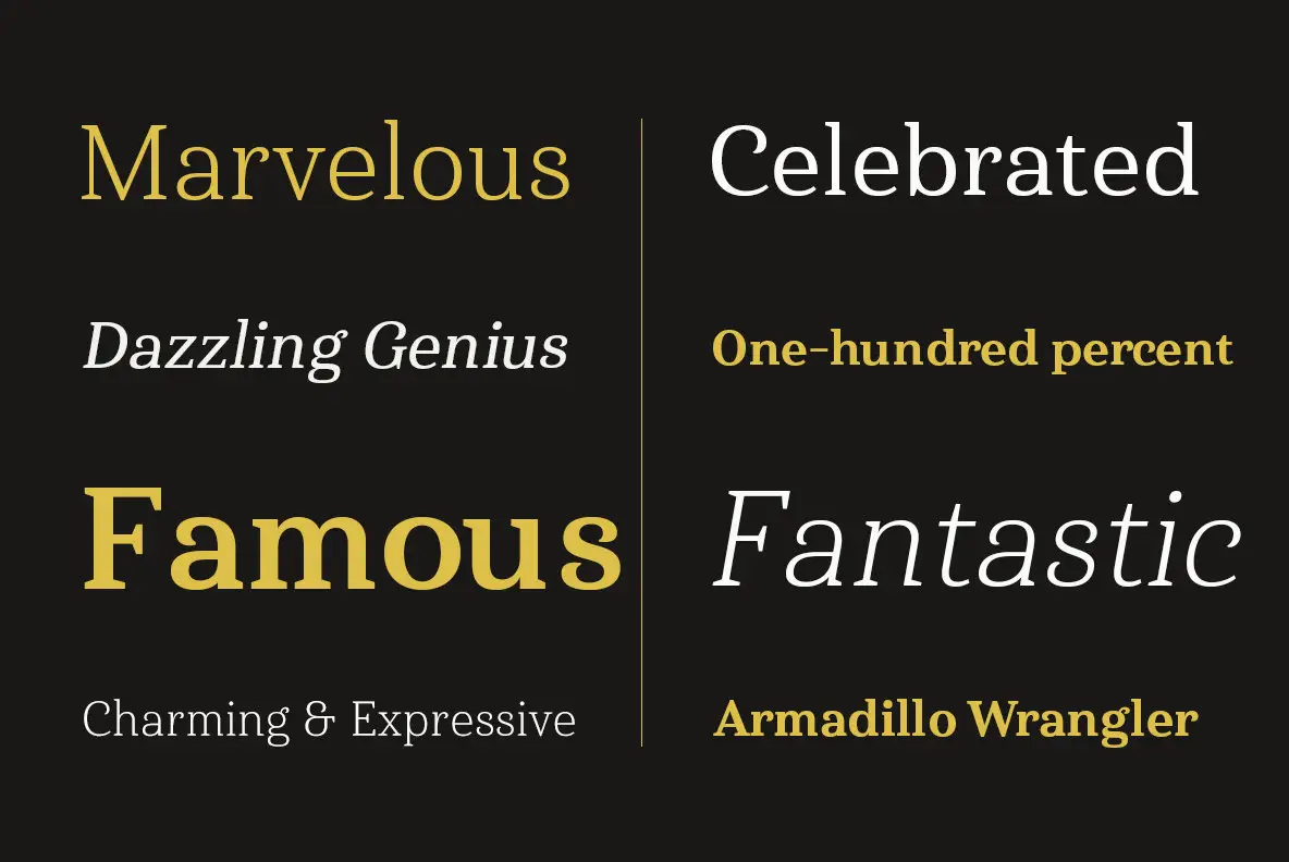 Haboro Serif Font - YouWorkForThem