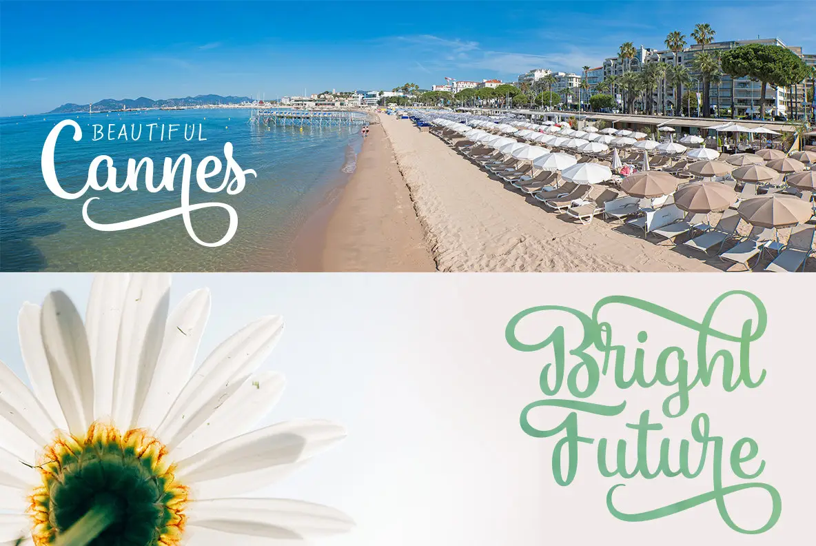 Vanilla Daisy Font - YouWorkForThem