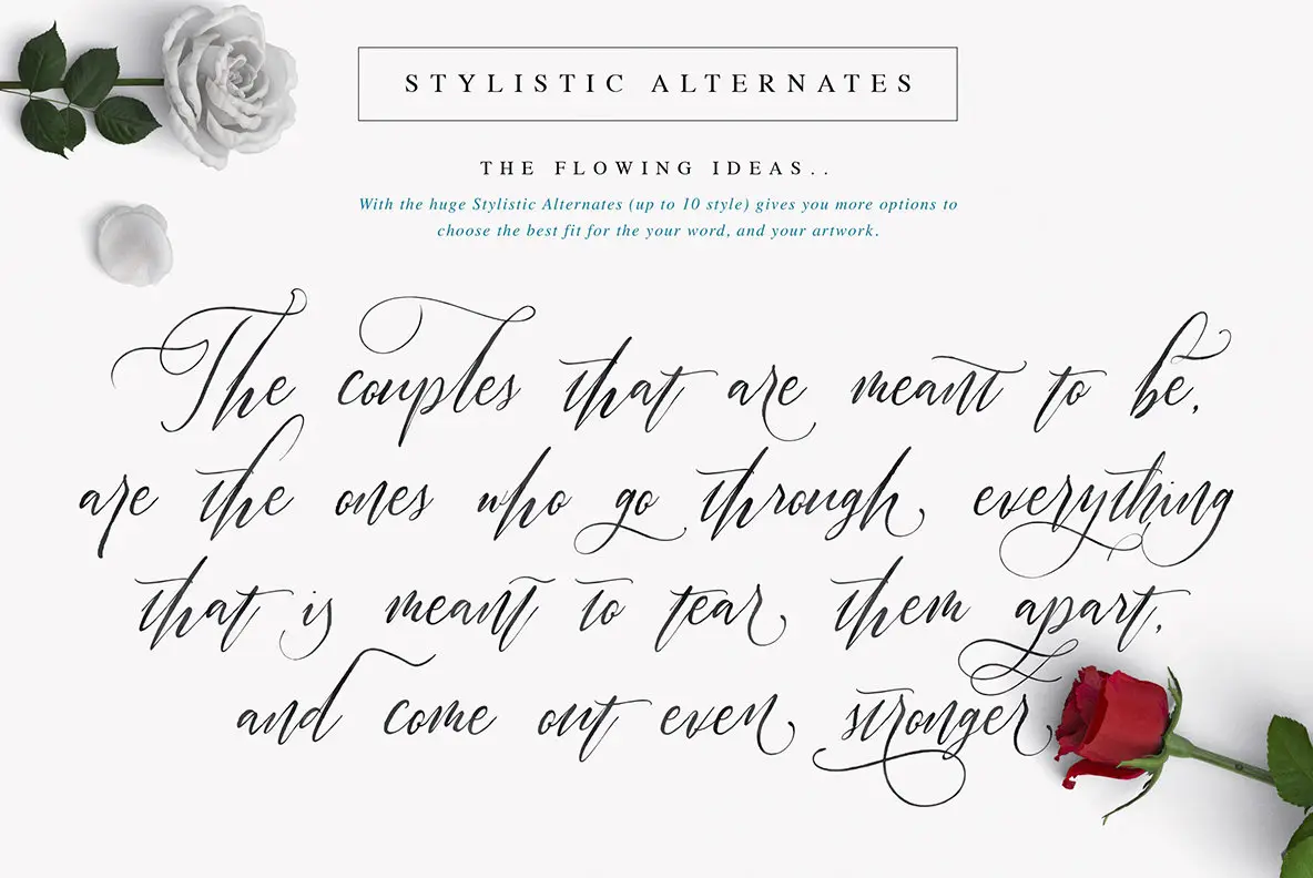 Halosense Script Font - YouWorkForThem