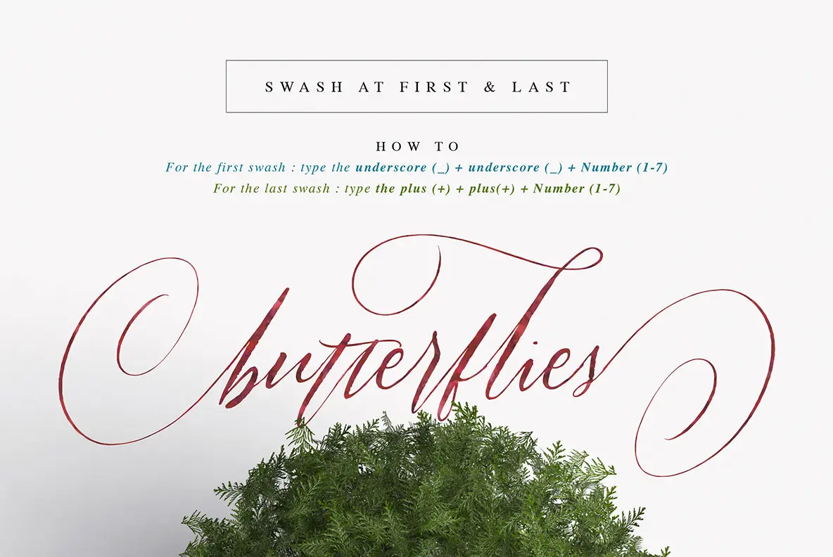 Halosense Script Font - YouWorkForThem