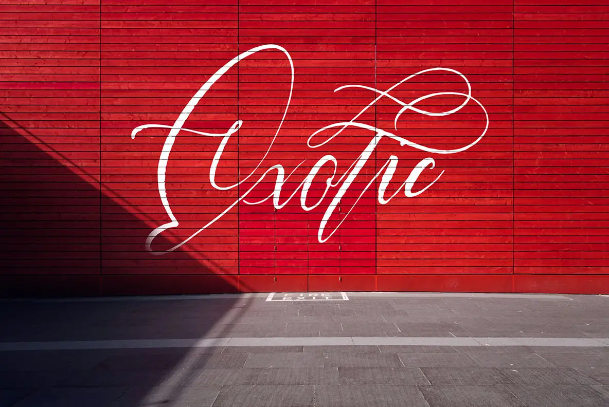 Halosense Script Font - YouWorkForThem