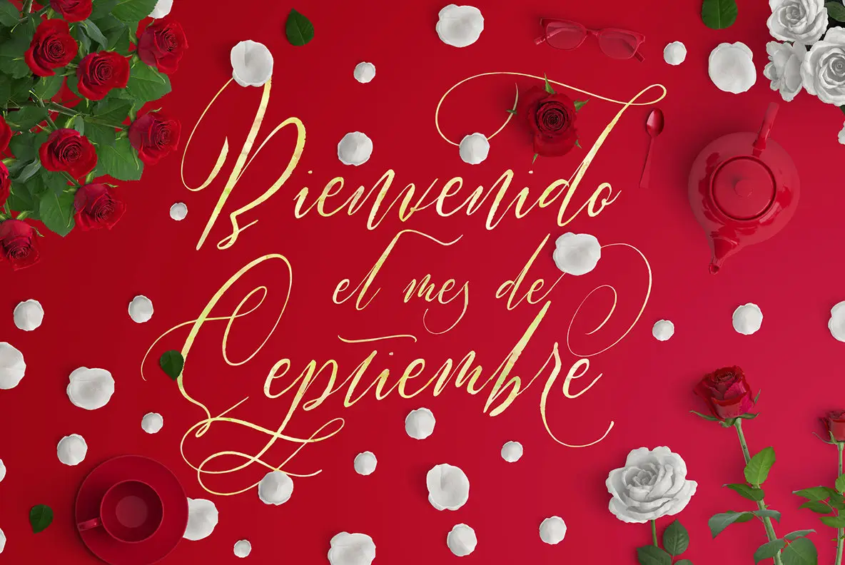 Halosense Script Font - YouWorkForThem