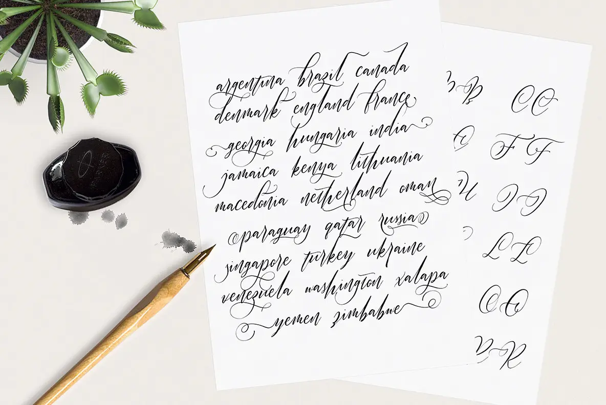 Halosense Script Font - YouWorkForThem