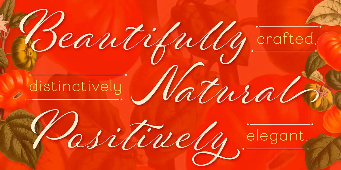 Renata Font - FontPath