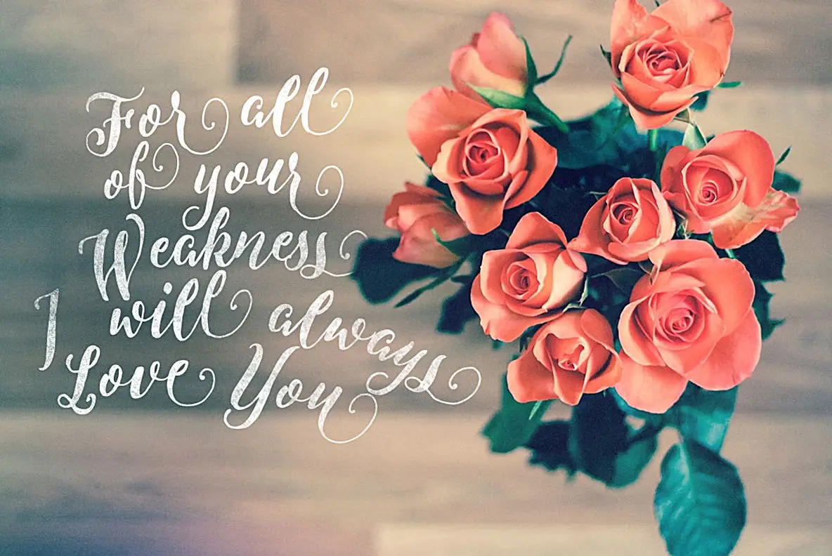 Levitte Script Font - FontPath