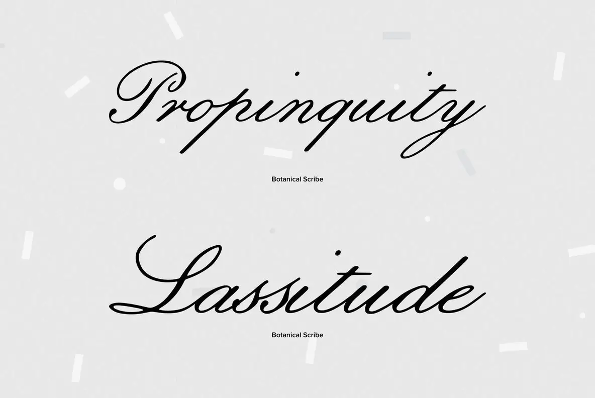 Botanical Scribe Font - YouWorkForThem