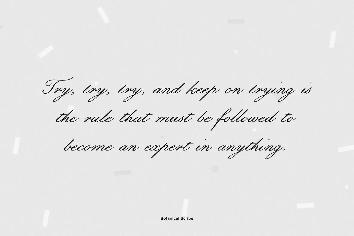 Botanical Scribe Font - FontPath