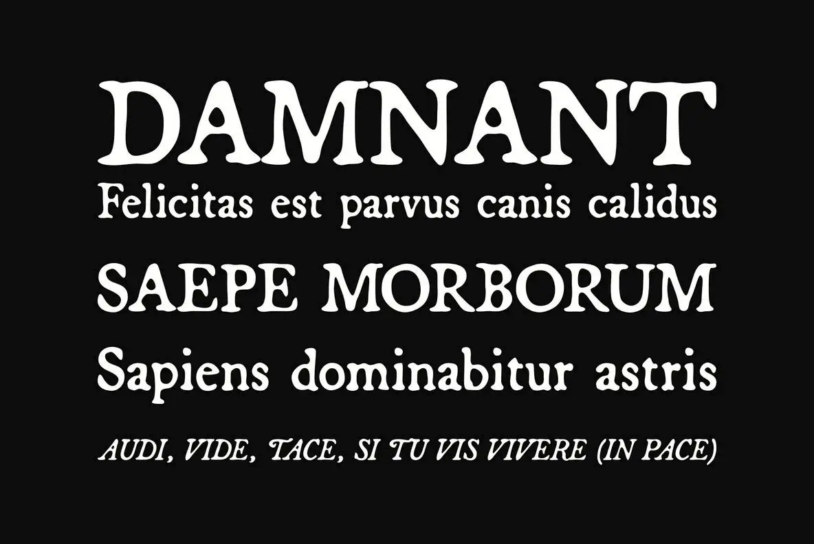 Broadsheet Font - YouWorkForThem