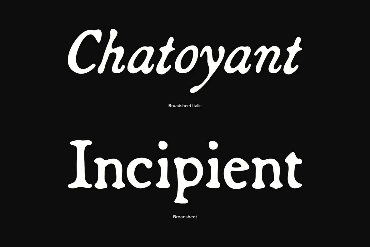 Broadsheet Font - YouWorkForThem