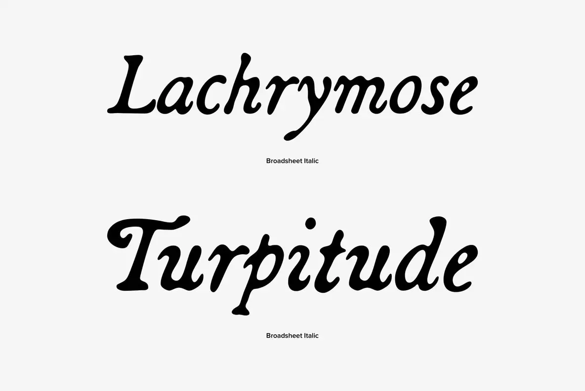 Broadsheet Font - YouWorkForThem