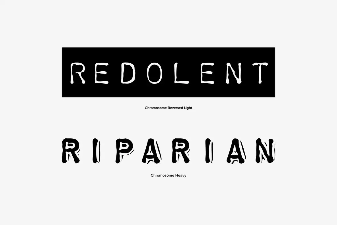 Chromosome Font - YouWorkForThem