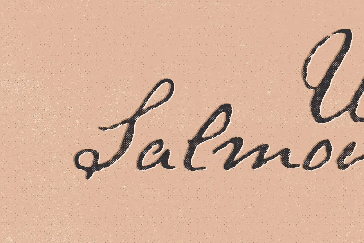 Schooner Script Font - FontPath