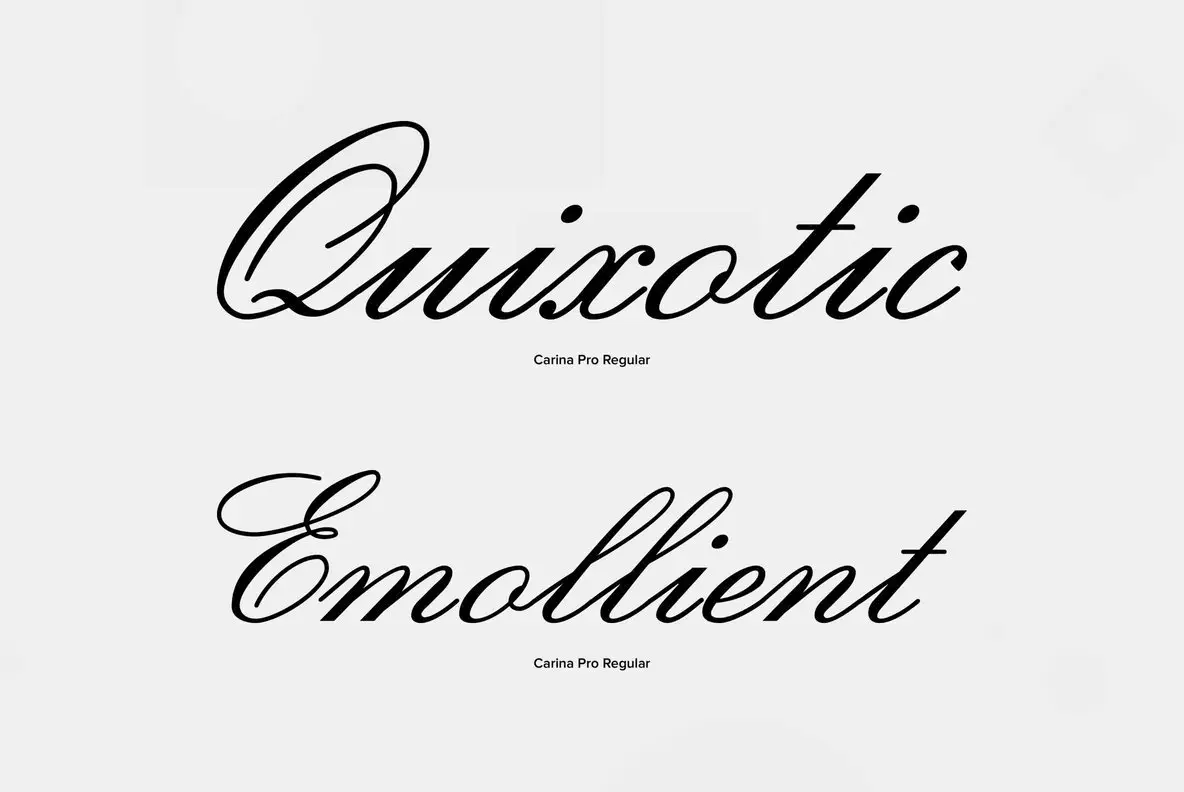 Carina Pro Font - YouWorkForThem