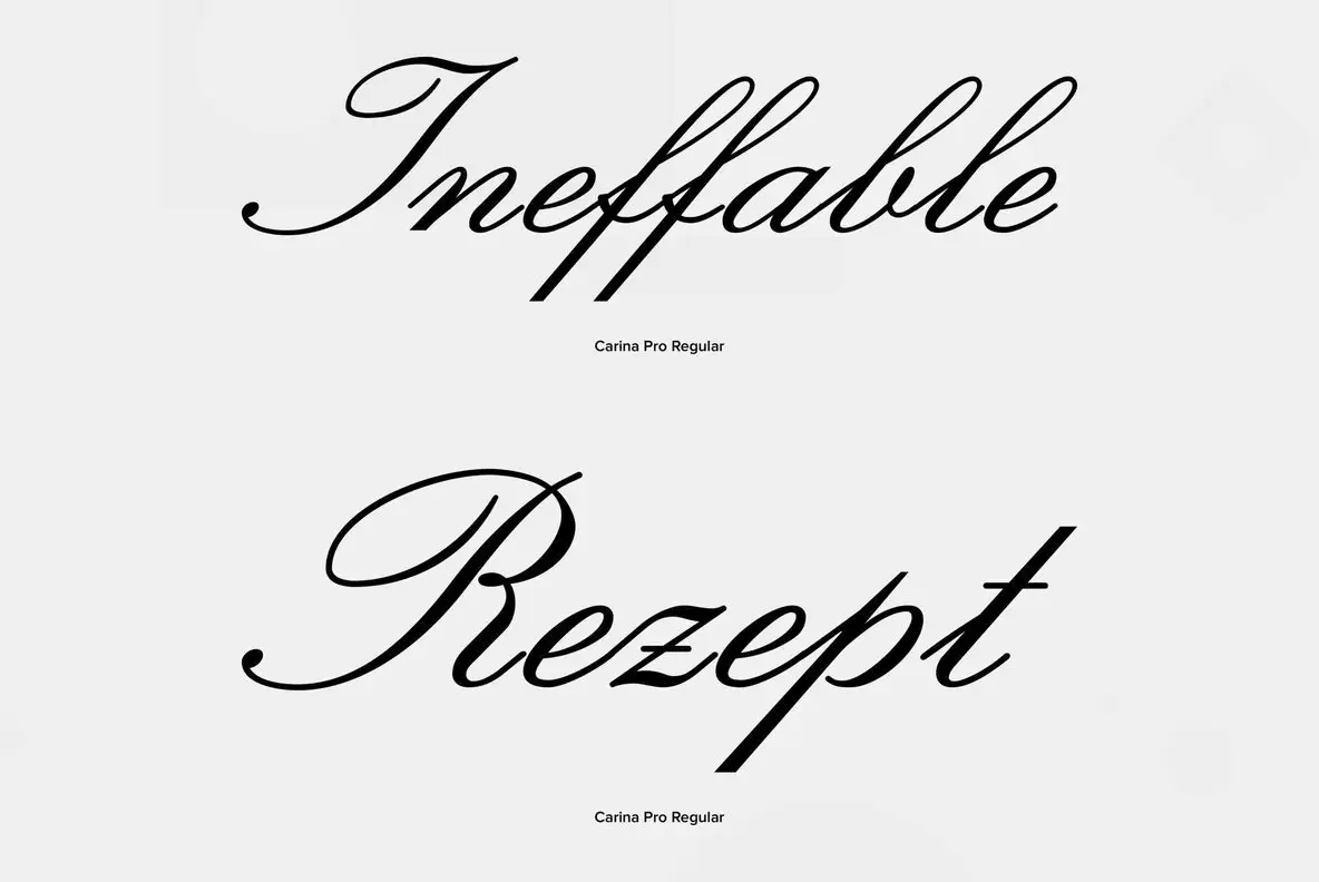 Carina Pro Font - FontPath