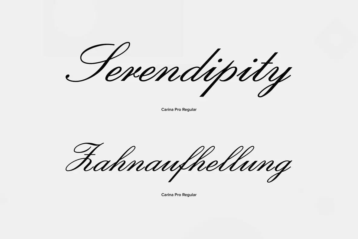 Carina Pro Font - YouWorkForThem