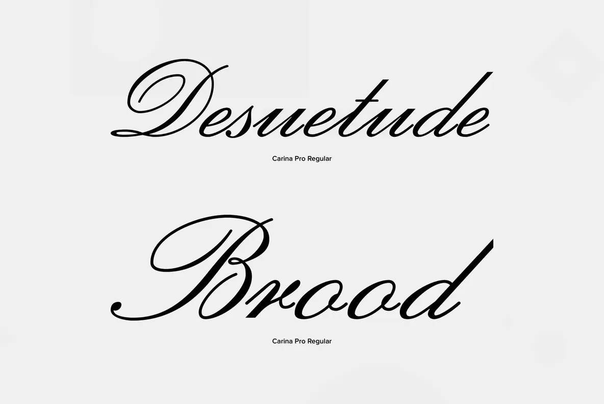 Carina Pro Font - FontPath